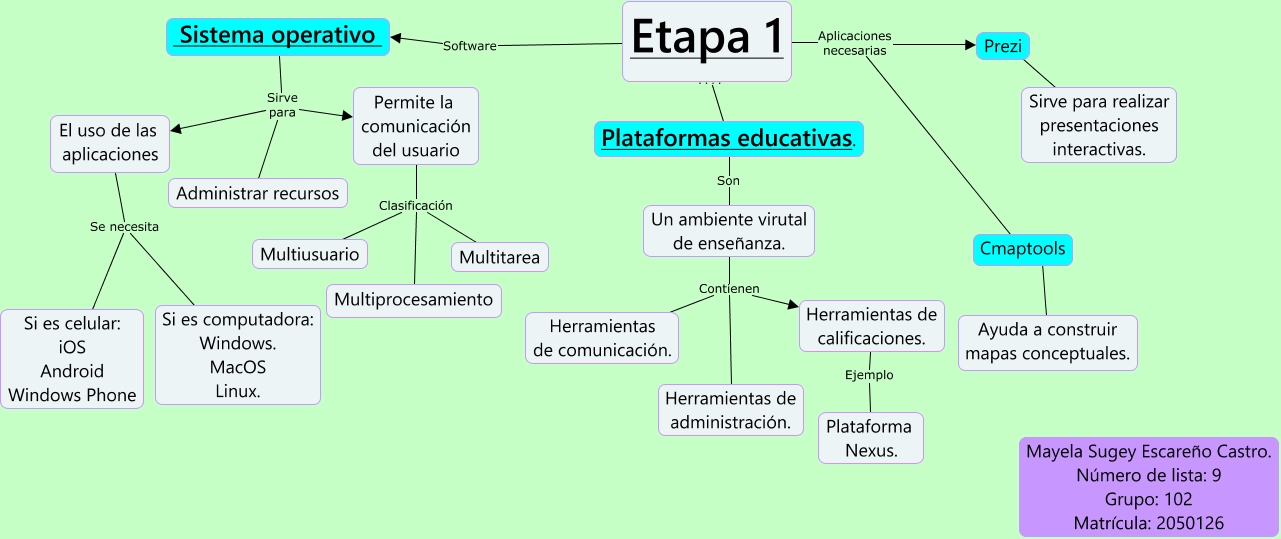 Etapa 1 - En qué consiste la etapa 1 de TIC